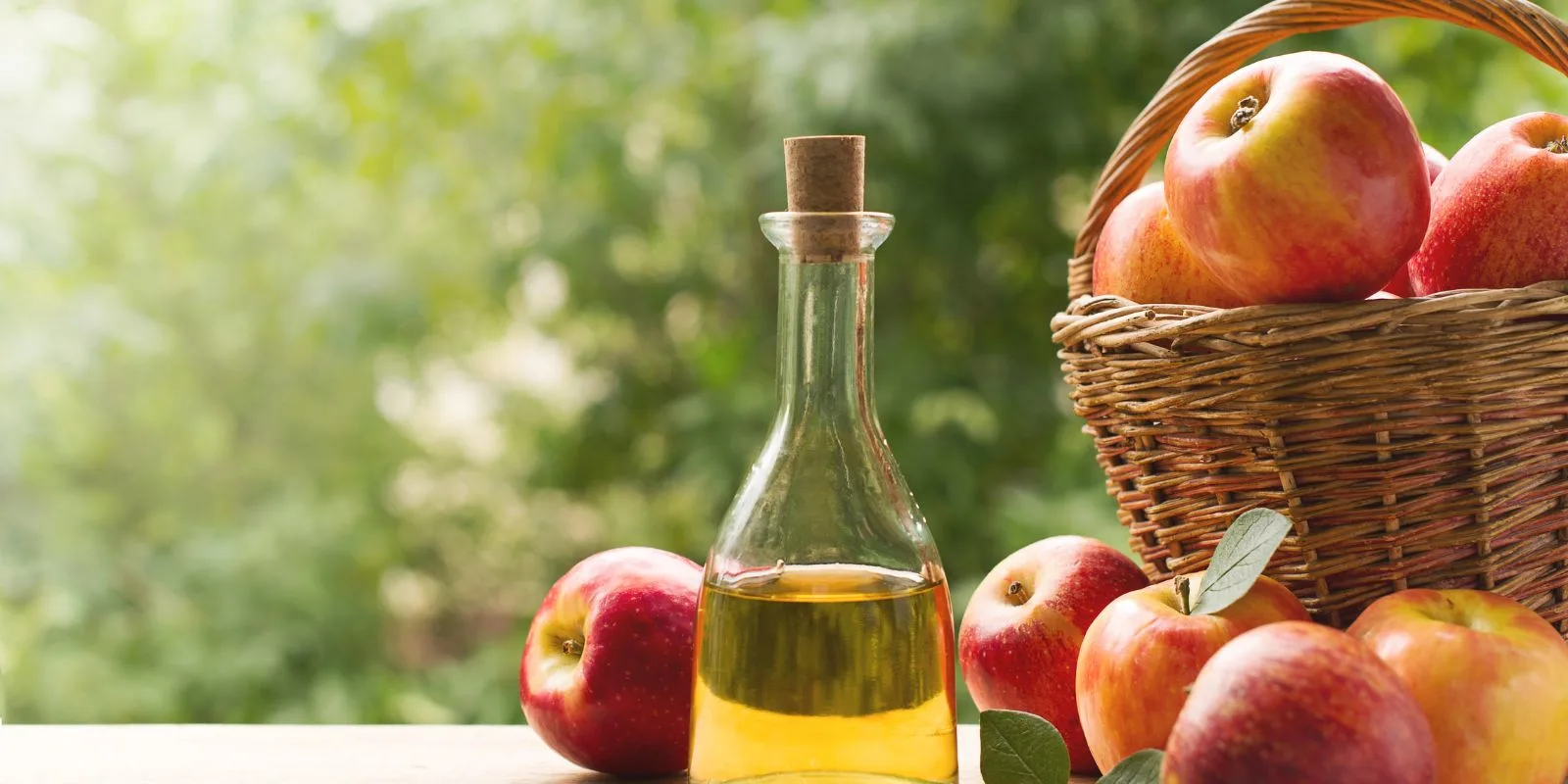 Apple Cider Vinegar for Dogs - Discover The Benefits (and Precautions ...