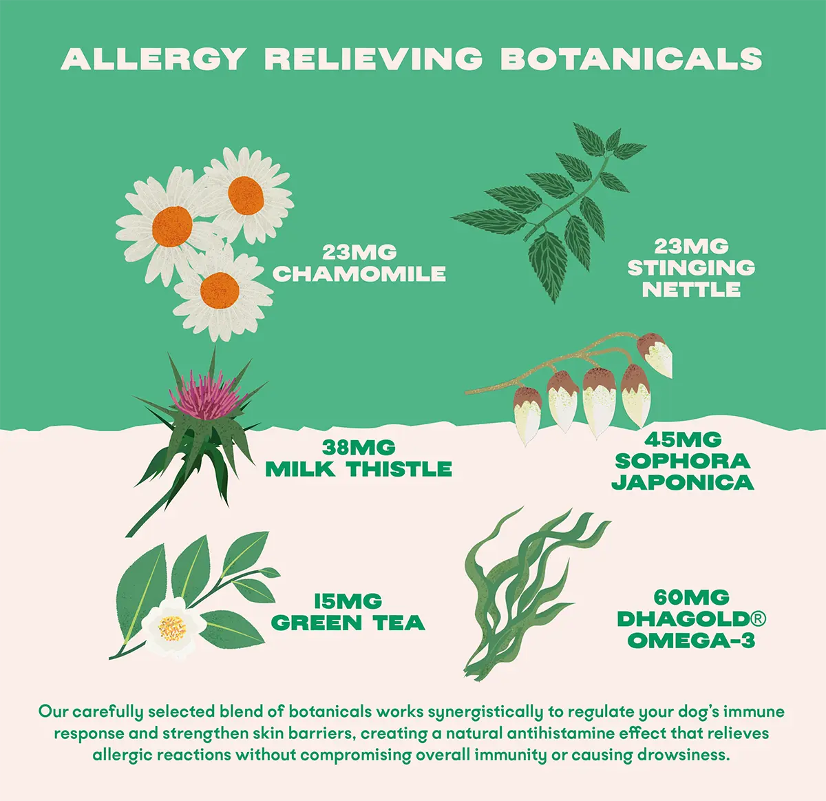 Block - Bioactive Bites - Bonza