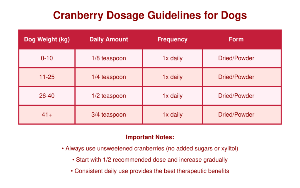 Cranberries für Hunde: Leitfaden für gesundheitliche Vorteile - Bonza