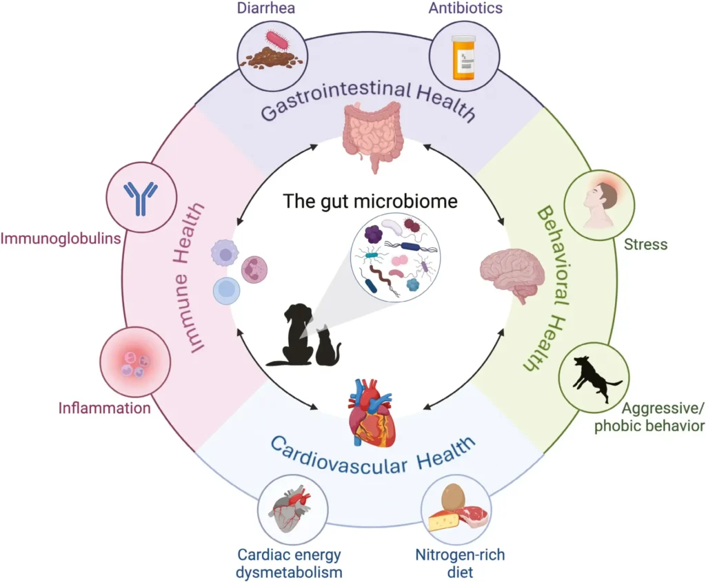 Dog Microbiome - Impact on Health and Wellbeing - Bonza